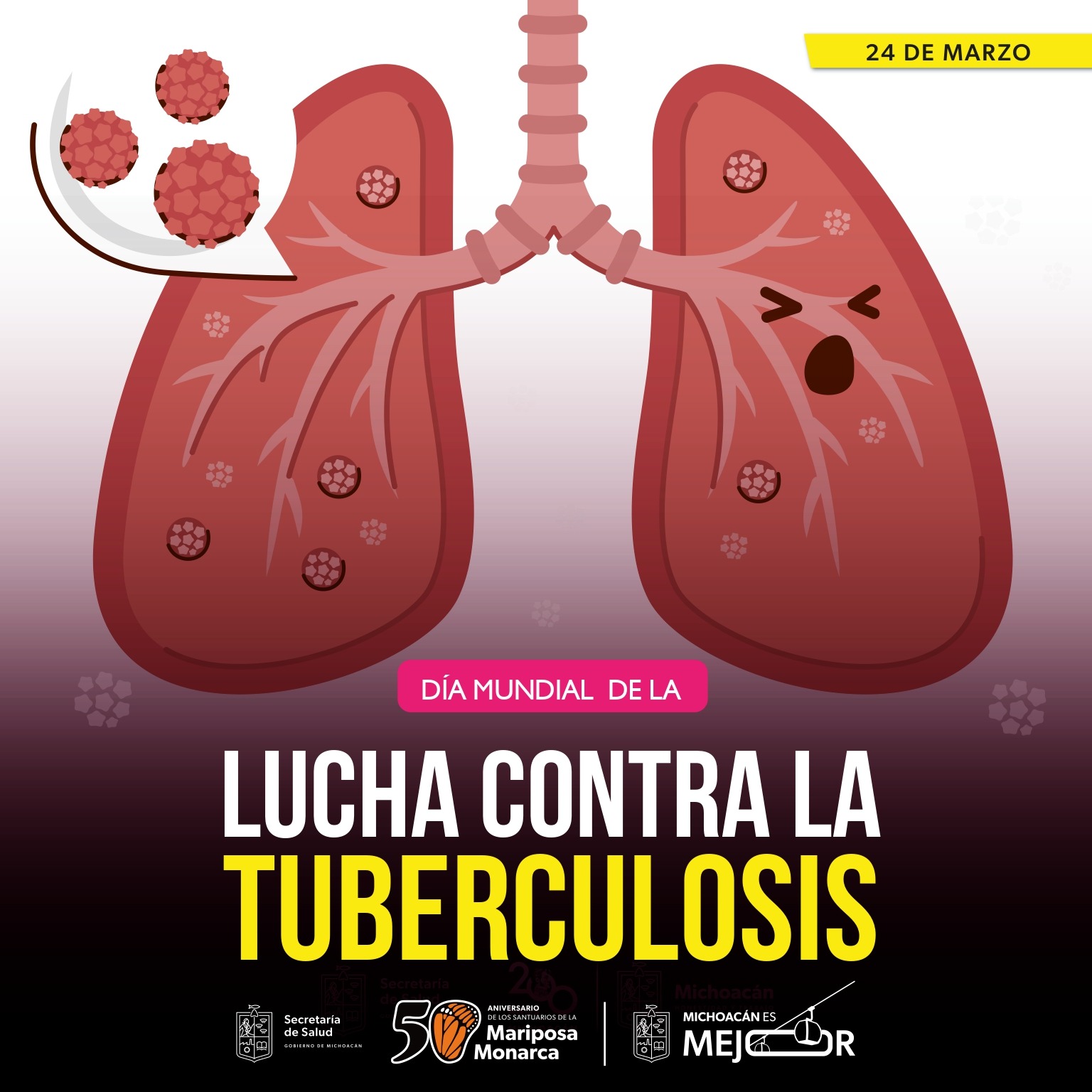 Pauta Informativa | Prevención y detección, claves para combatir la ...